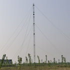 Galvanized monopole angle steel camouflaged tree tubular tower telecom communication mobile guyed tower