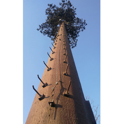GSM WiFi Signal Camouflaged Pine Tree Monopole Tower